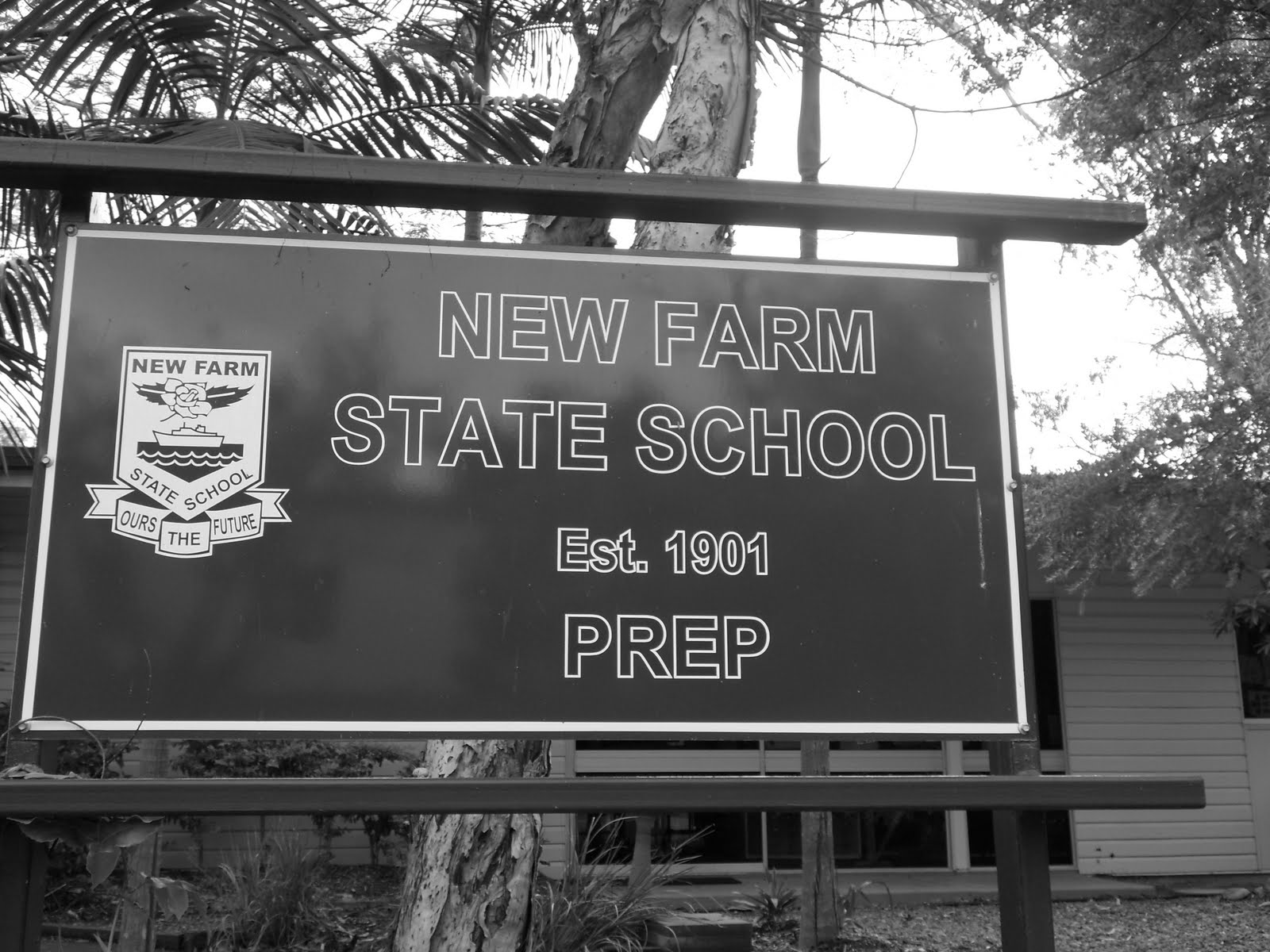 New Farm State School Community Education: New Farm State School ...