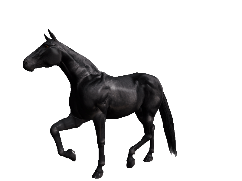 CABALLOS: caballos...