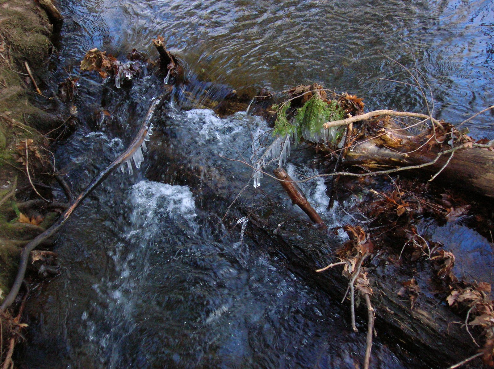 Small Stream Reflections: December 2011