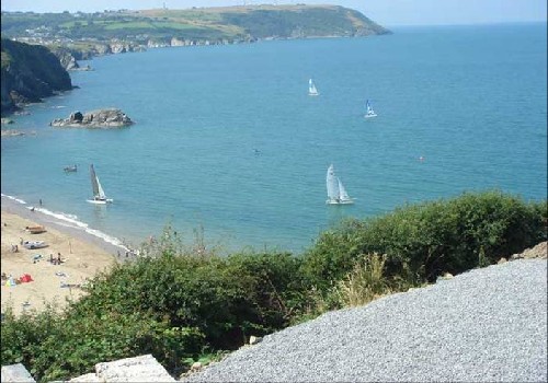 Martin Veale - Steel and Survival