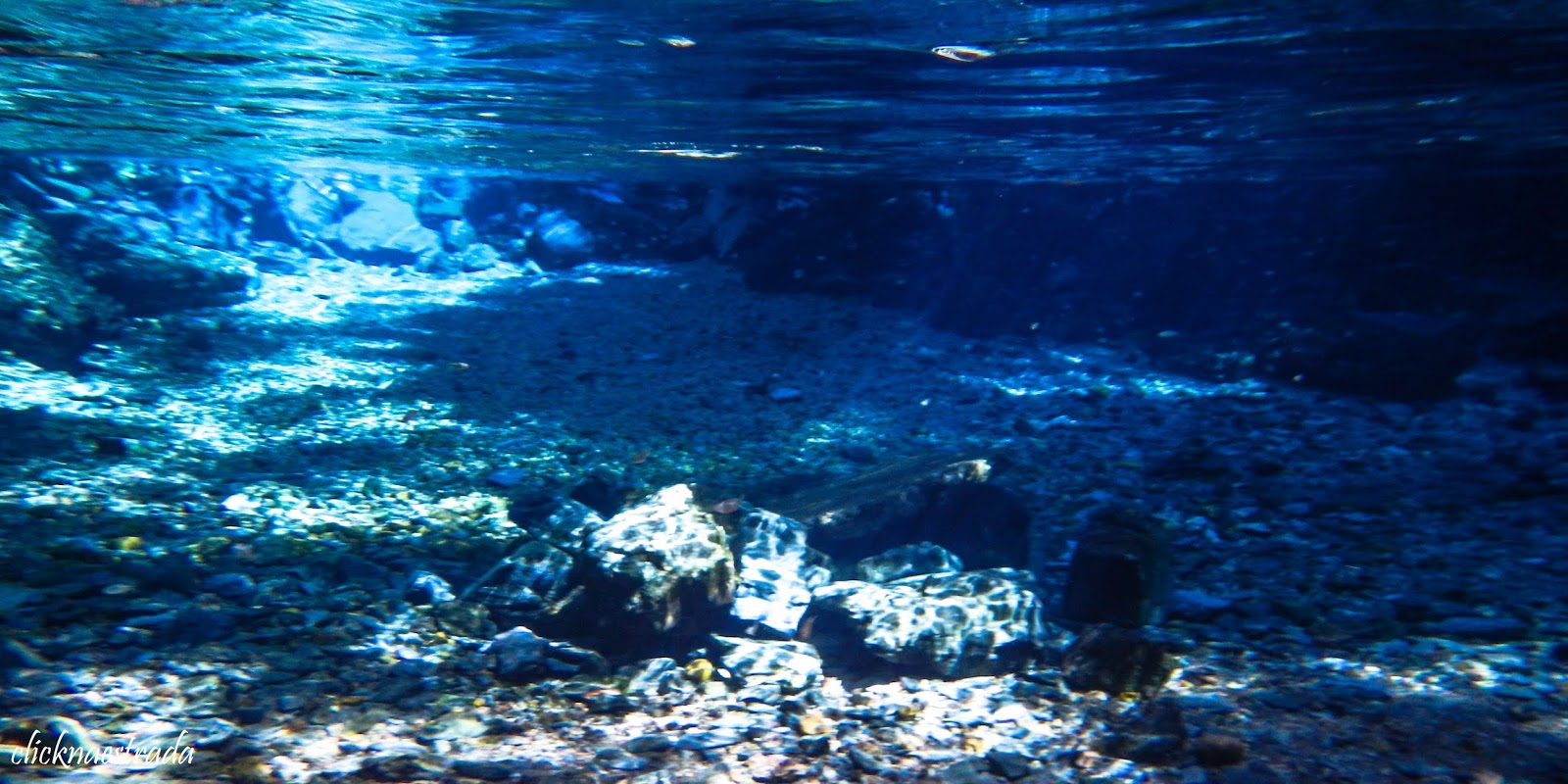 Rio Azuis | Click na Estrada