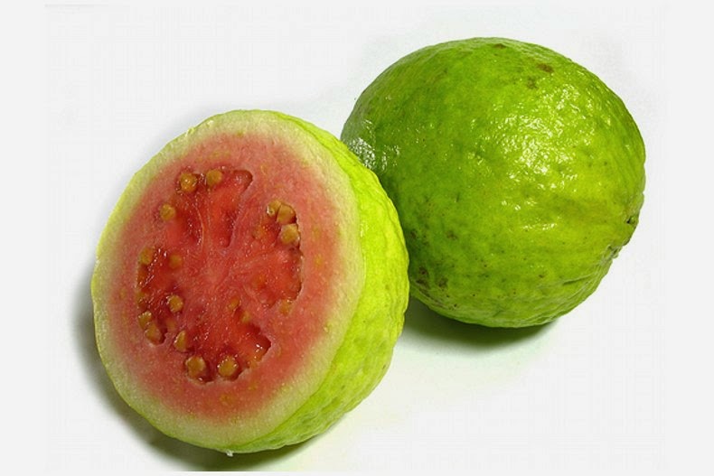 10 Manfaat Khasiat Jambu Biji Warna Merah - Obat Sakit 2011