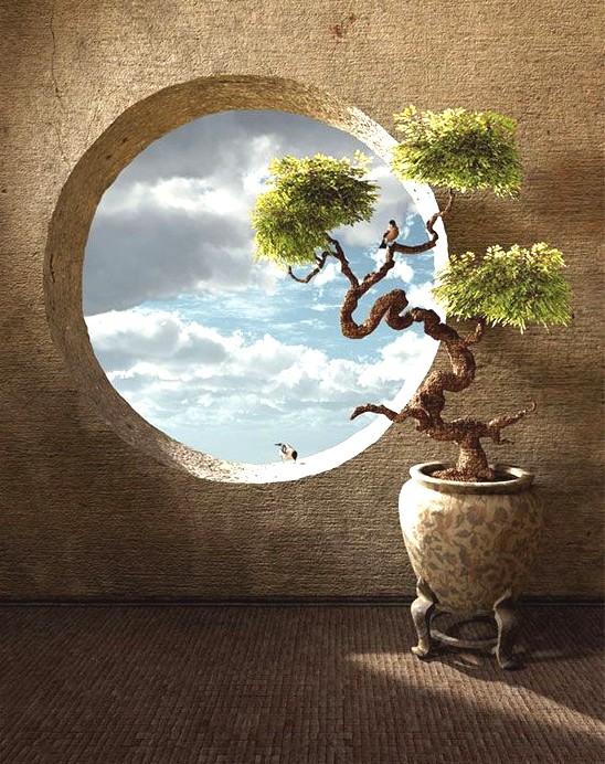 Art Now and Then: Bonsai Art