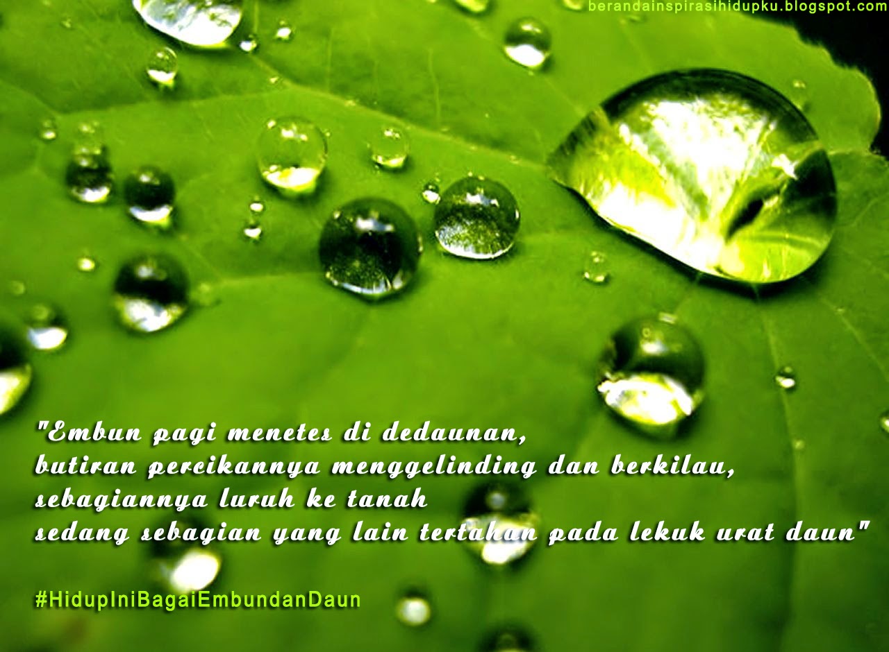 Contoh Kata Kata Embun Pagi - Fezarzone