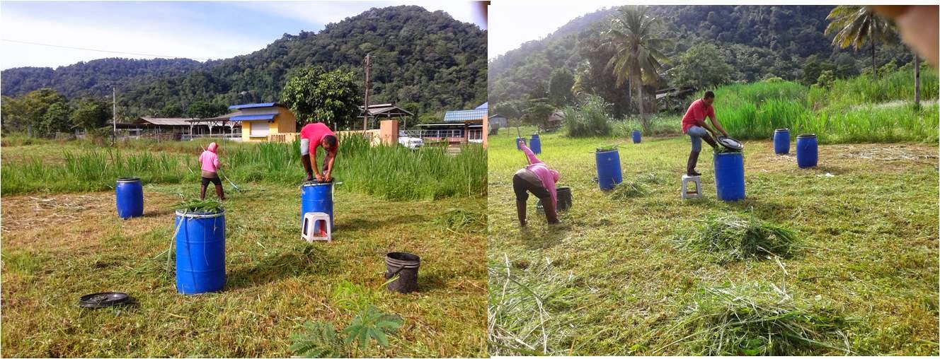 PPIT PASIR PUTEH: AKTIVITI LADANG