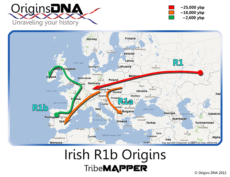 Origin Hunters - Genetic Genealogist: Genealogy Gold: McCarthy DNA