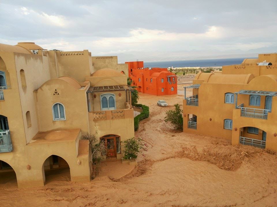 Egyptian Chronicles: Can Someone Call the Government and tell them That ...