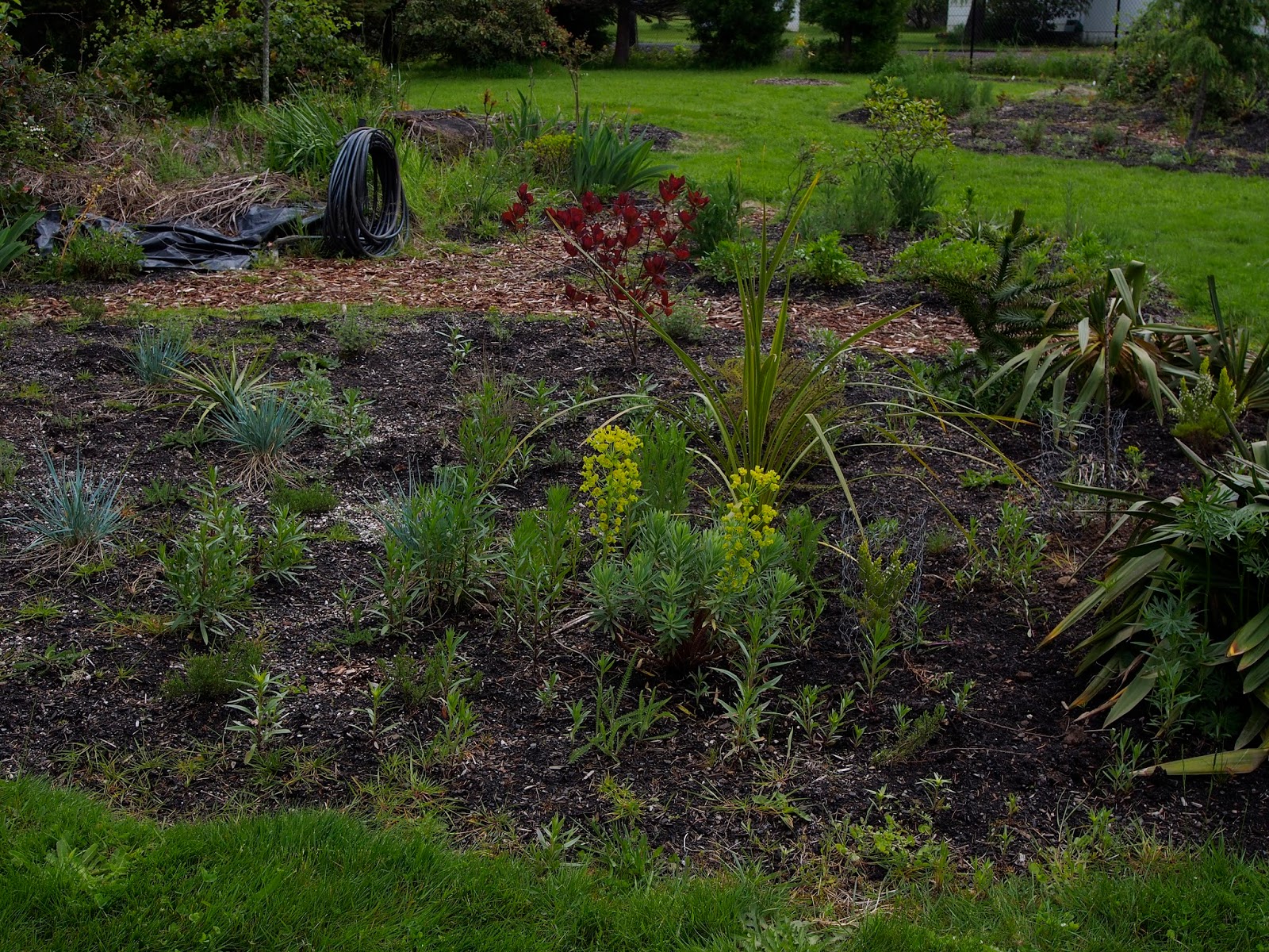 Wednesday Wide Shots