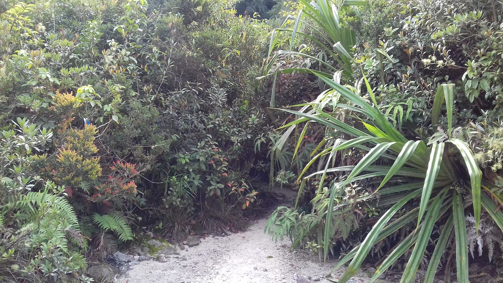 MENGINTIP BIDADARI DI TELAGA PUTRI SIBAYAK - Pandan Adventure