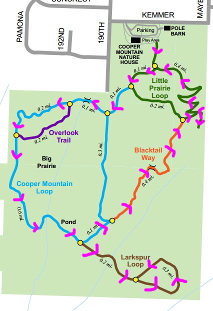 Cat Patches: A New Way