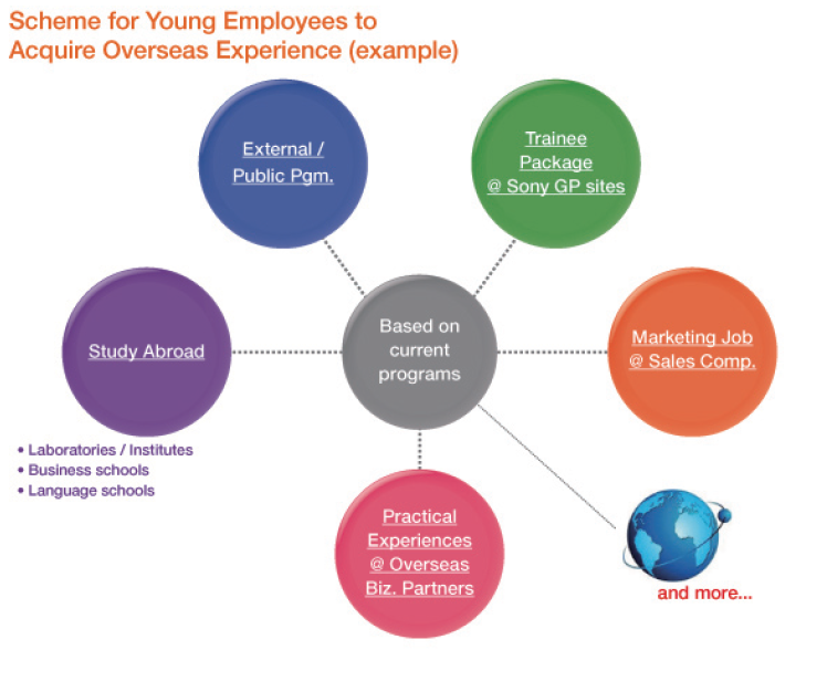 Visible Business: How Young Employees Acquire Overseas Experience at ...