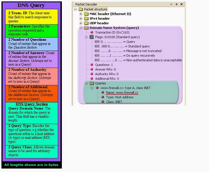 Xtreme-Xploits: DNS QUERY FORMAT