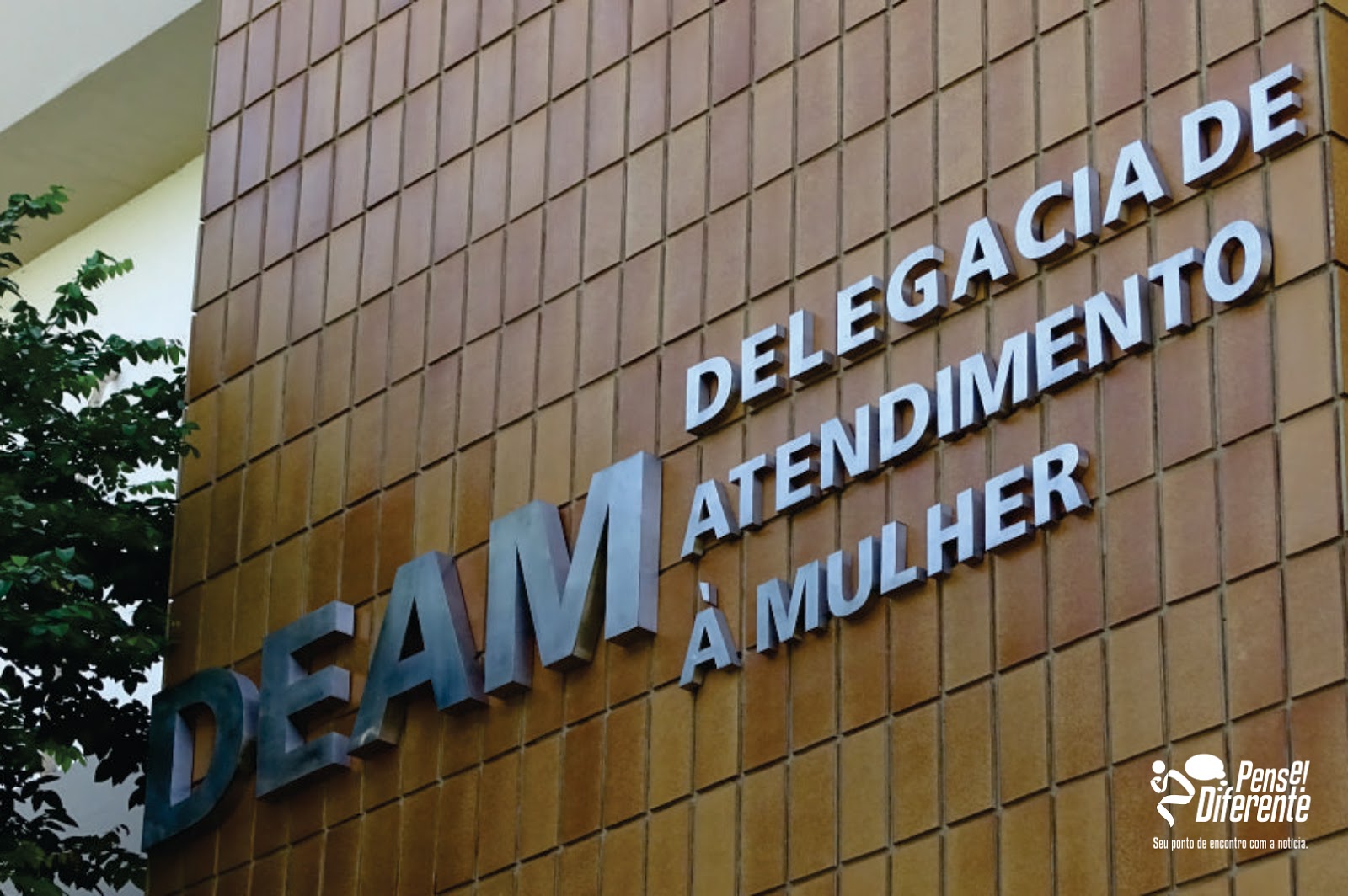 pense diferente: Delegacia de atendimento a mulher (DEAM), completa ...