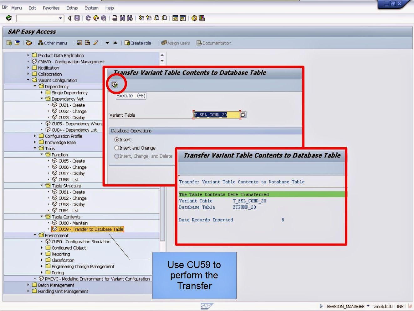 青蛙SAP分享 Froggy's SAP sharing: Variant Configuration - Linking Variant Tables to Database Tables