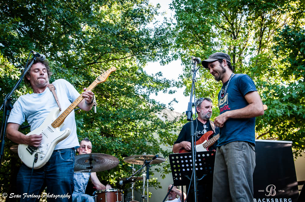 Sean Furlong Photography: Backsberg Picnic Concerts - Robin Auld