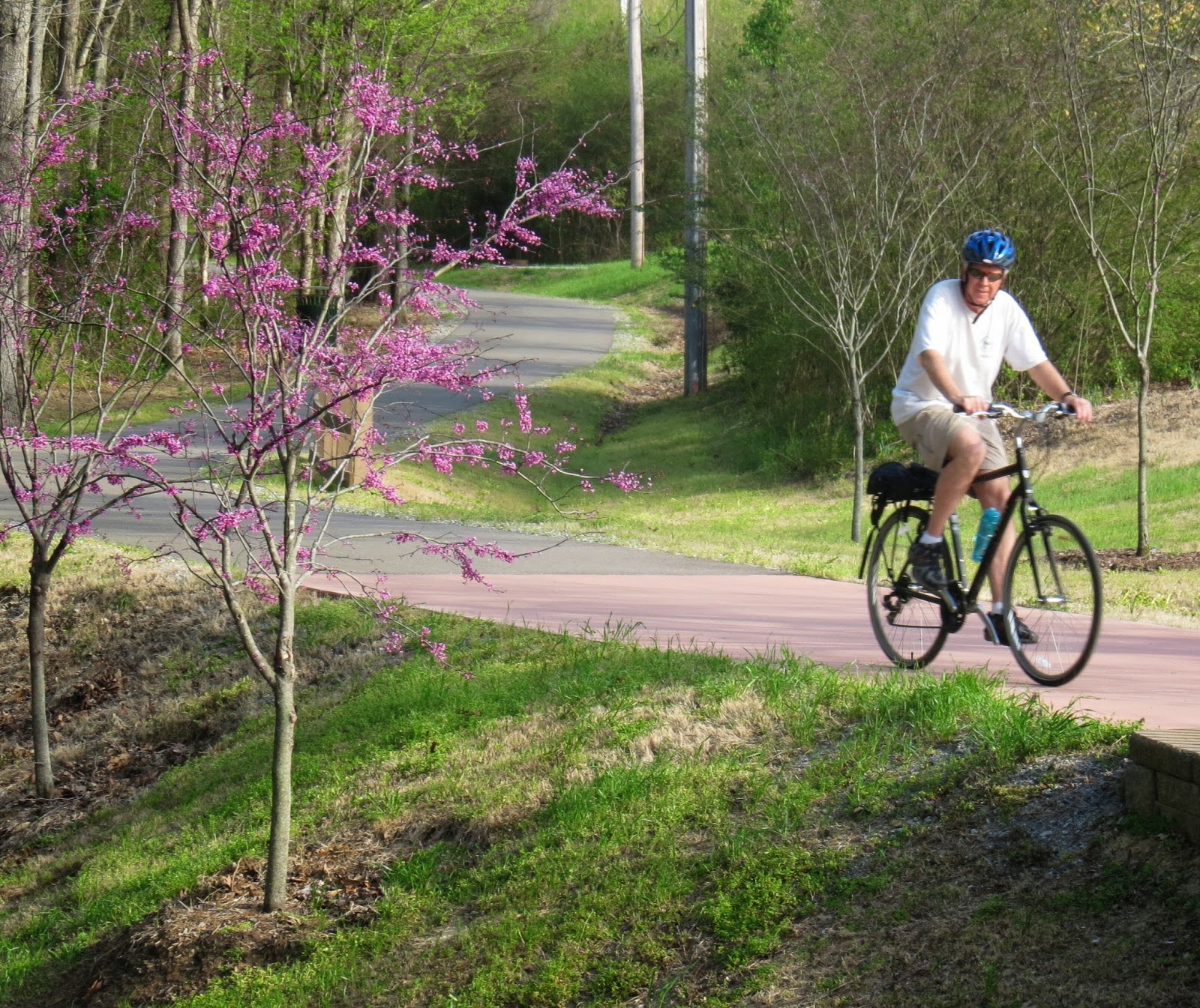 Memphis Cyclist: Cycling offers way for older Memphians to get into ...