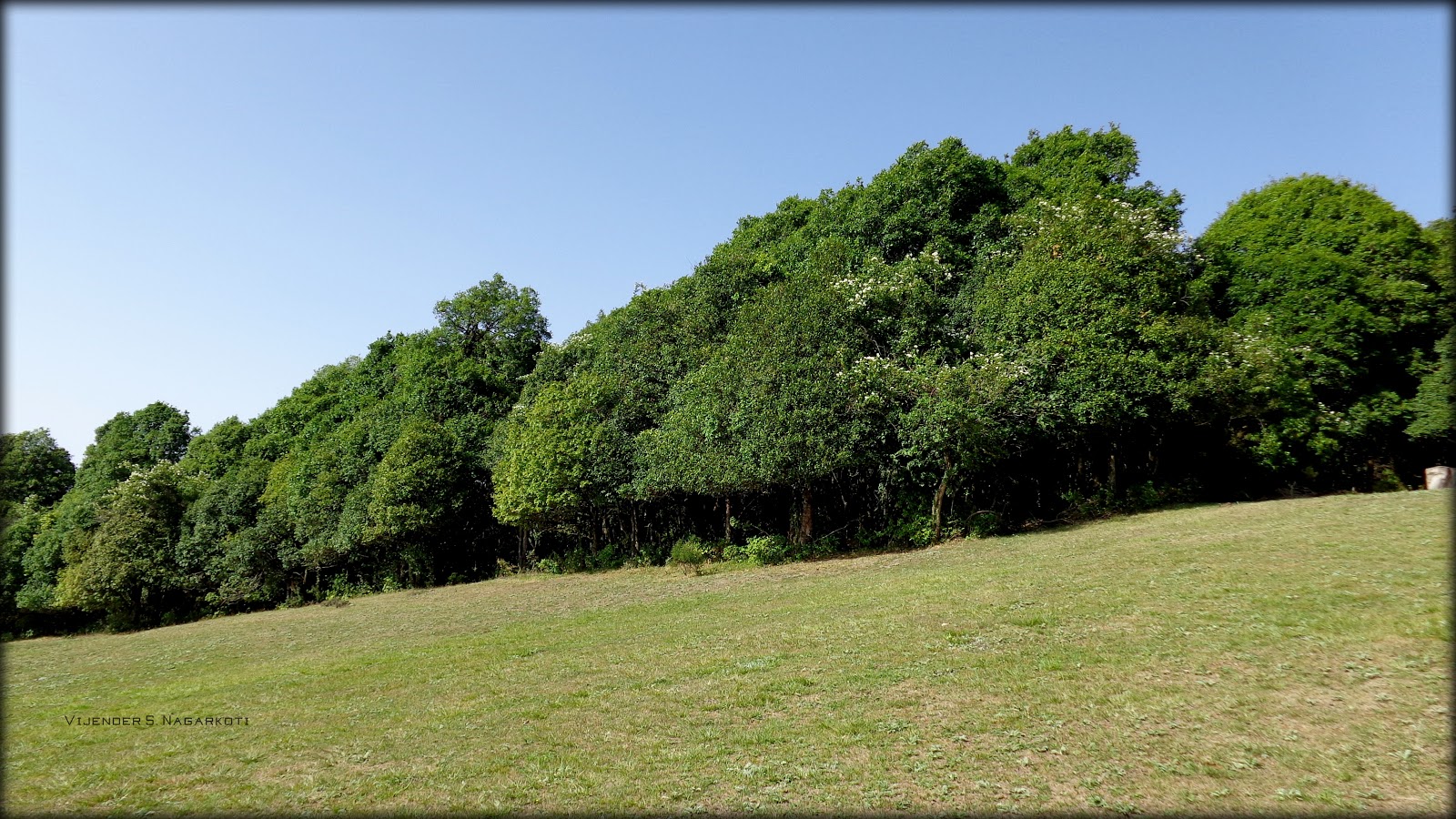 Uttarakhand Tourism: Pandavkholi - पांडवखोली