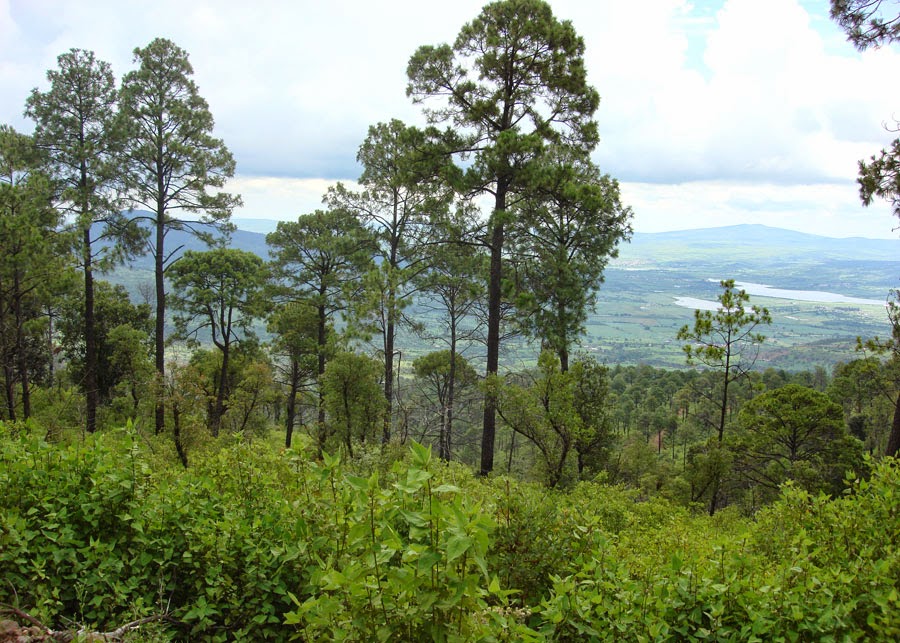 Dany: Aspectos básicos de la geografía física de México