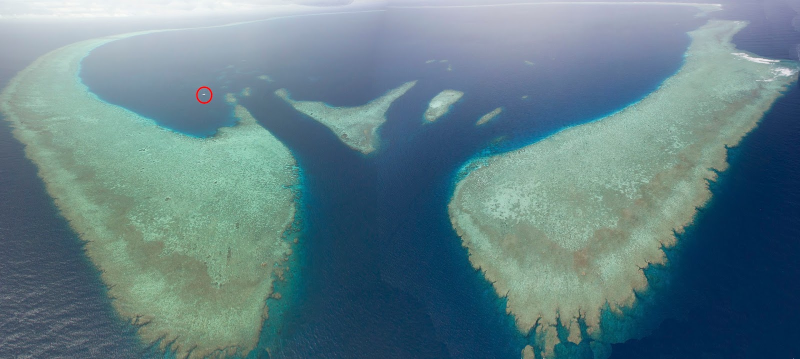 Roncador Reef - Part I