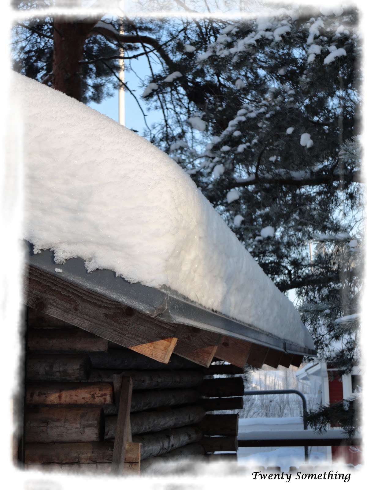 Twenty Something: Jääkukkia