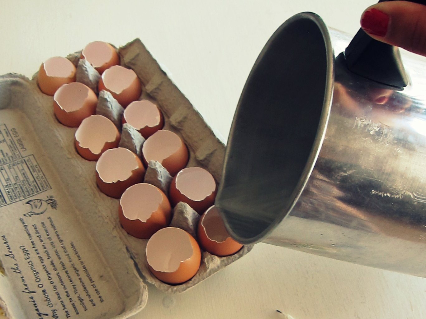 Egg Shell Candle Tutorial – EcoMonster