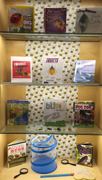 Display: Insects