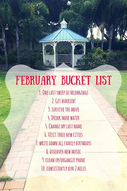 The Shep Diary: February Bucket List