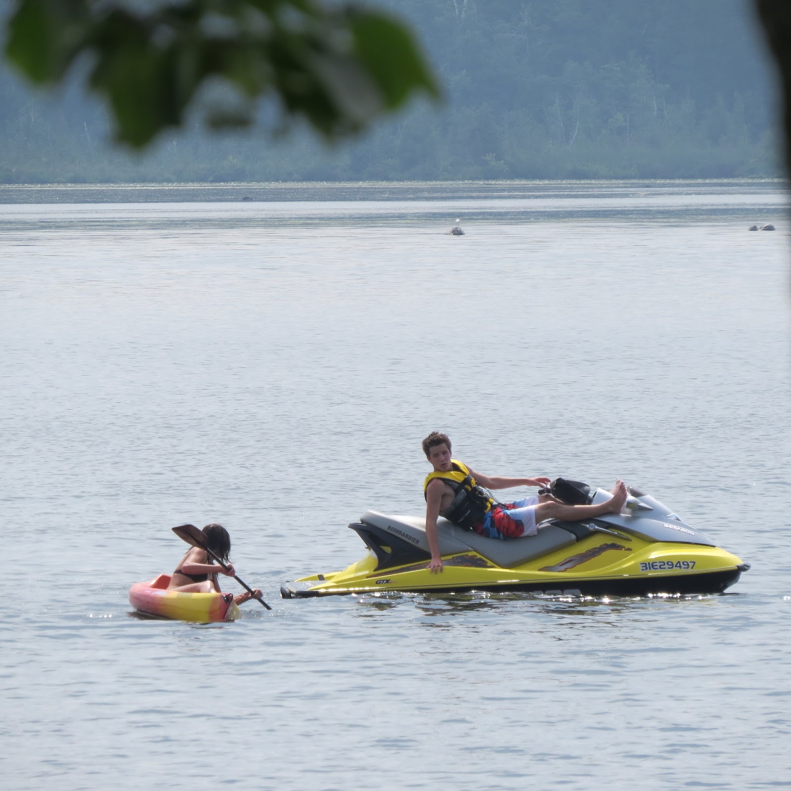 Lindquistics the Musings of Marian Lindquist: July 2015