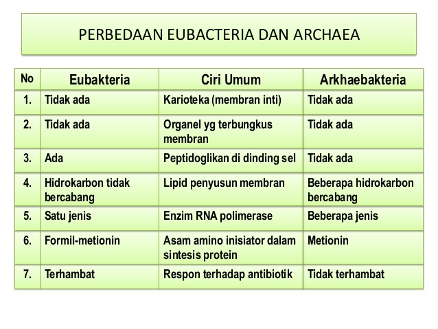 Archaebacteria, Ciri-Ciri dan Peranannya - BELAJAR BIOLOGI BERSAMA