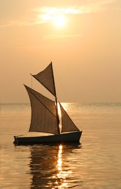 Dare Society: The shad boat: The 'pick-up truck' of watercraft