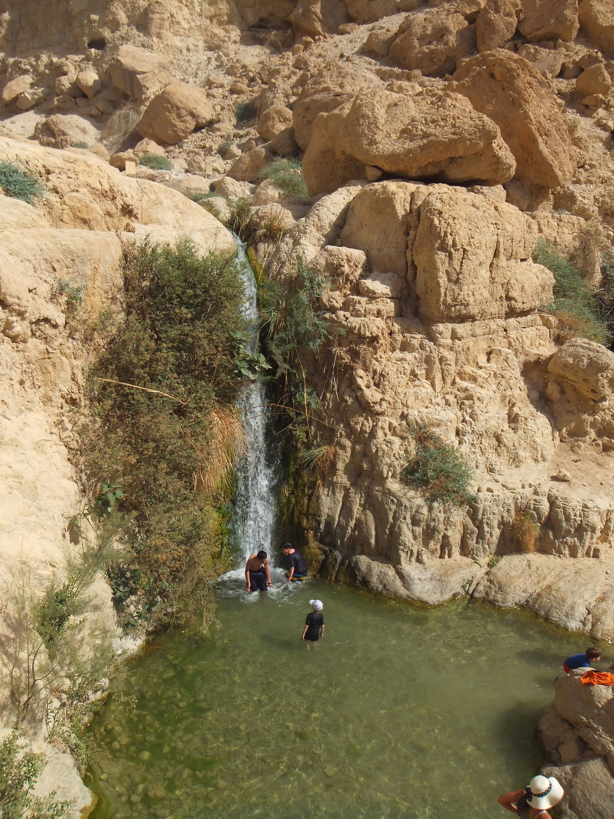 David and Saul at Ein Gedi