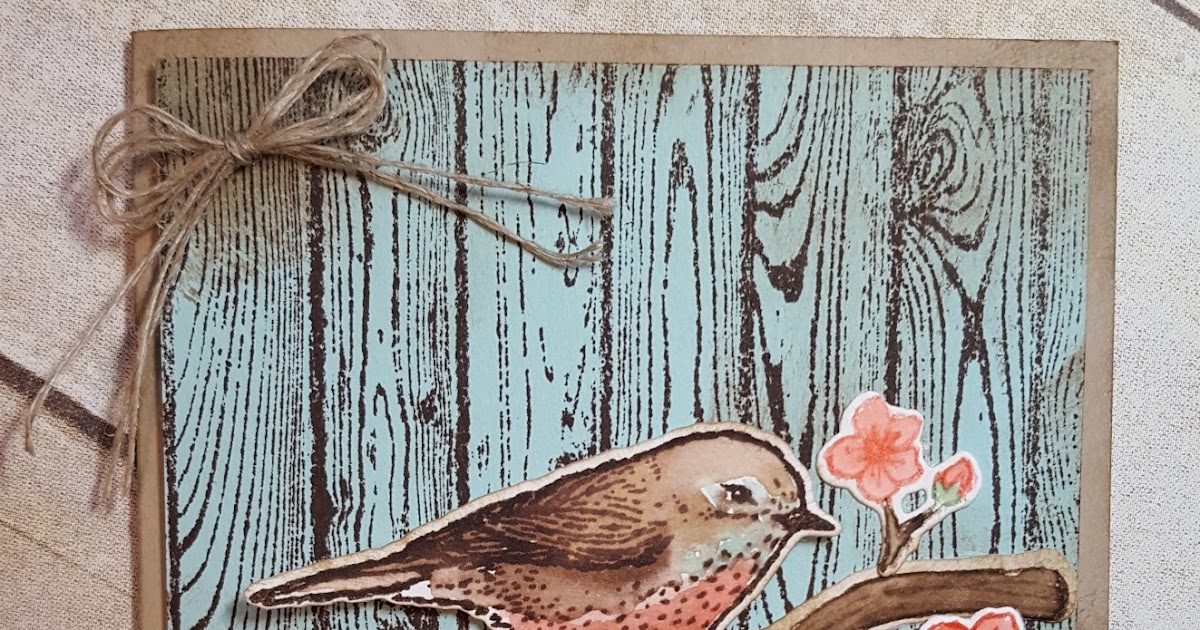 Beth's Paper Cuts: More Birds~ Best Birds Stamp set