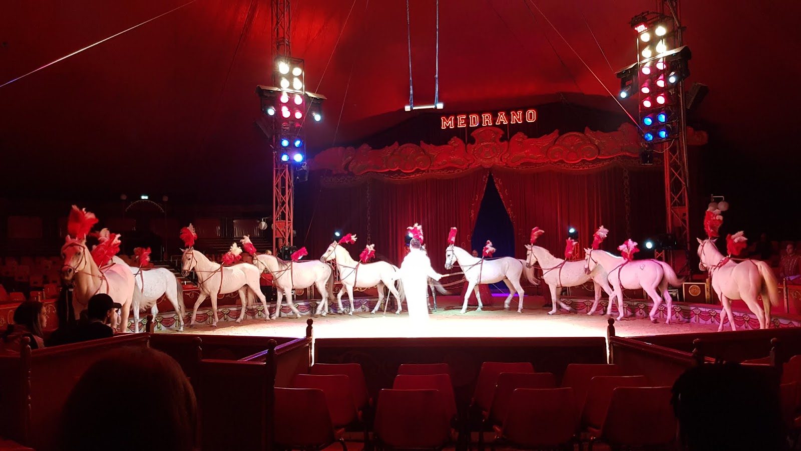 GALLERIE FOTOGRAFICHE: Circo Medrano a Milano (I) | SCXS