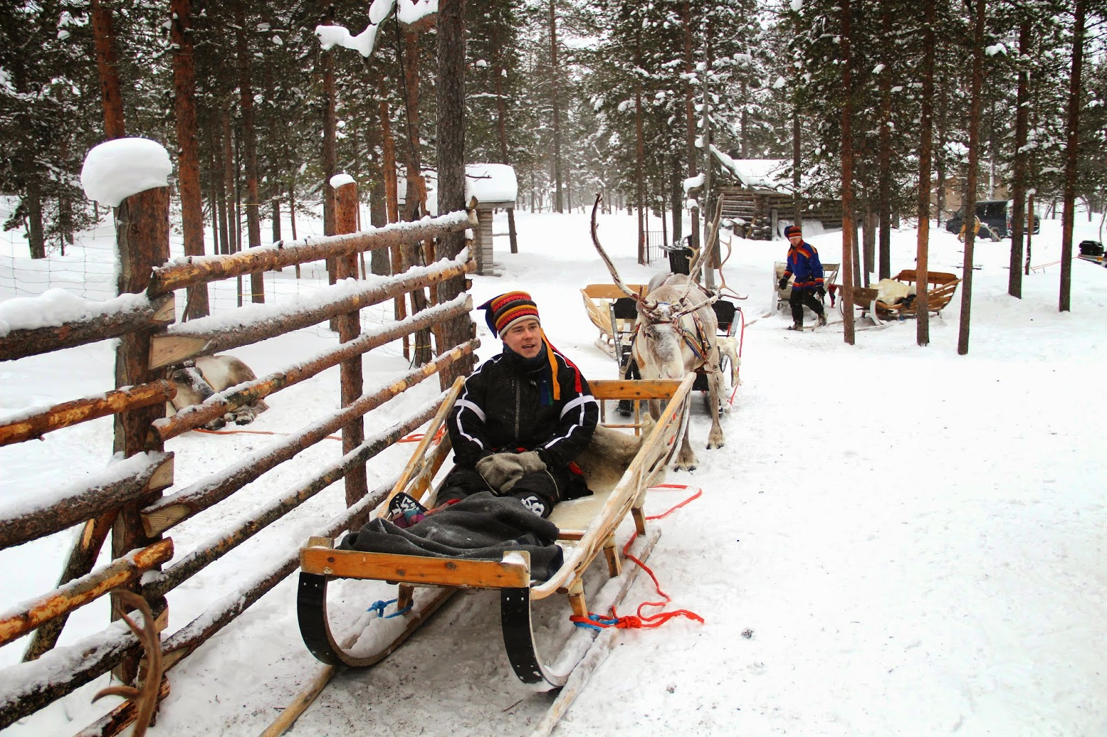 Jamie: Reindeer Sleigh Ride in the Woods