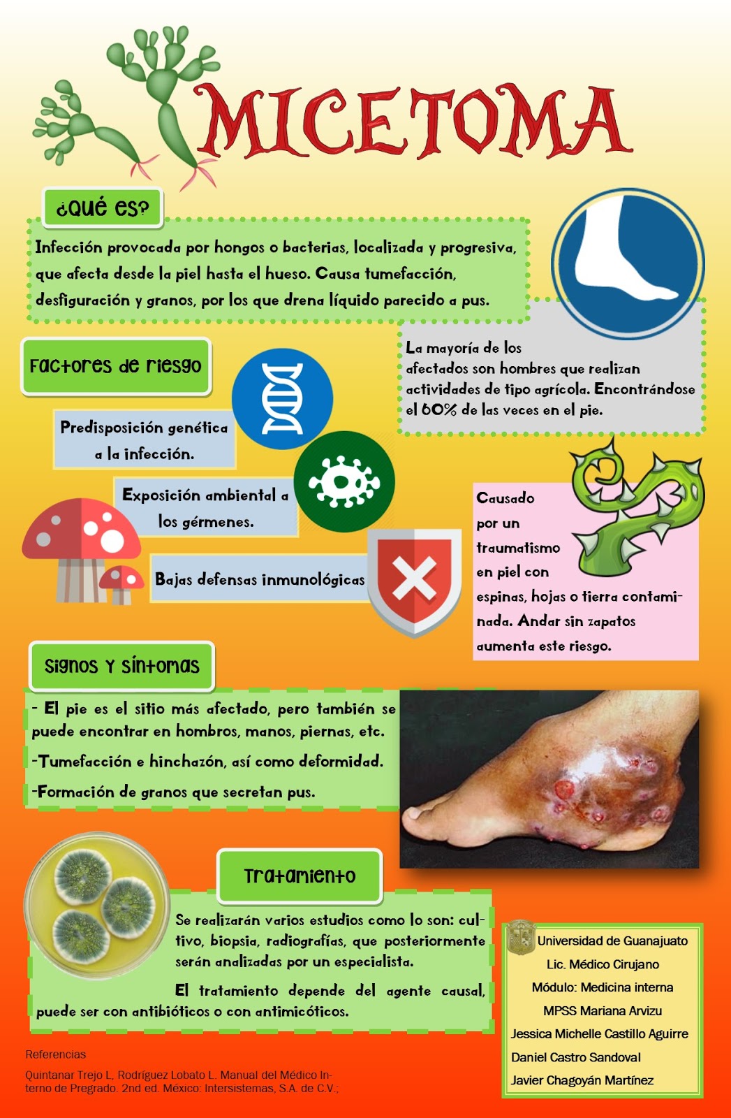 DIVULGACIÓN CIENTÍFICA UG: Micetoma