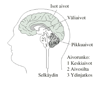 Psykologia 3 oppimispäiväkirja: Tietoisuus