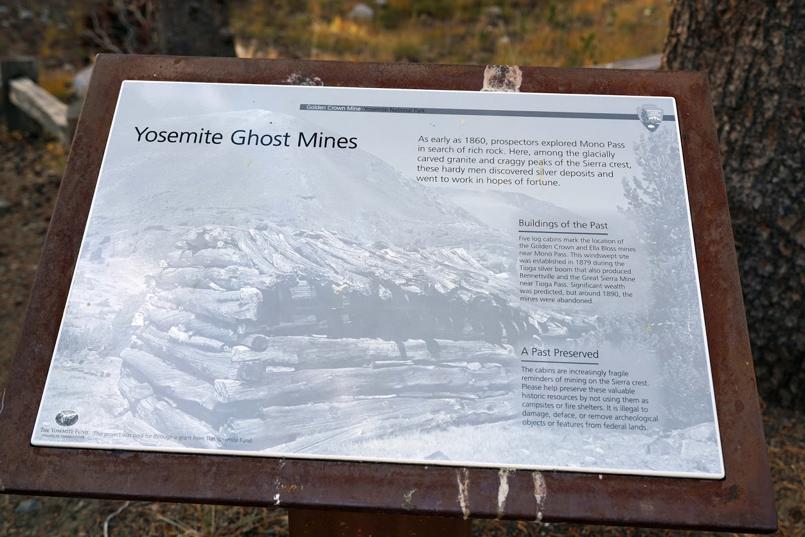 Mid Sierra Musings: Yosemite Mono Pass Hike