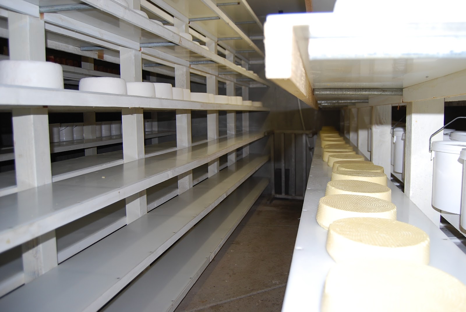 Wilamar Farm: Cada Dia Cheese Tour