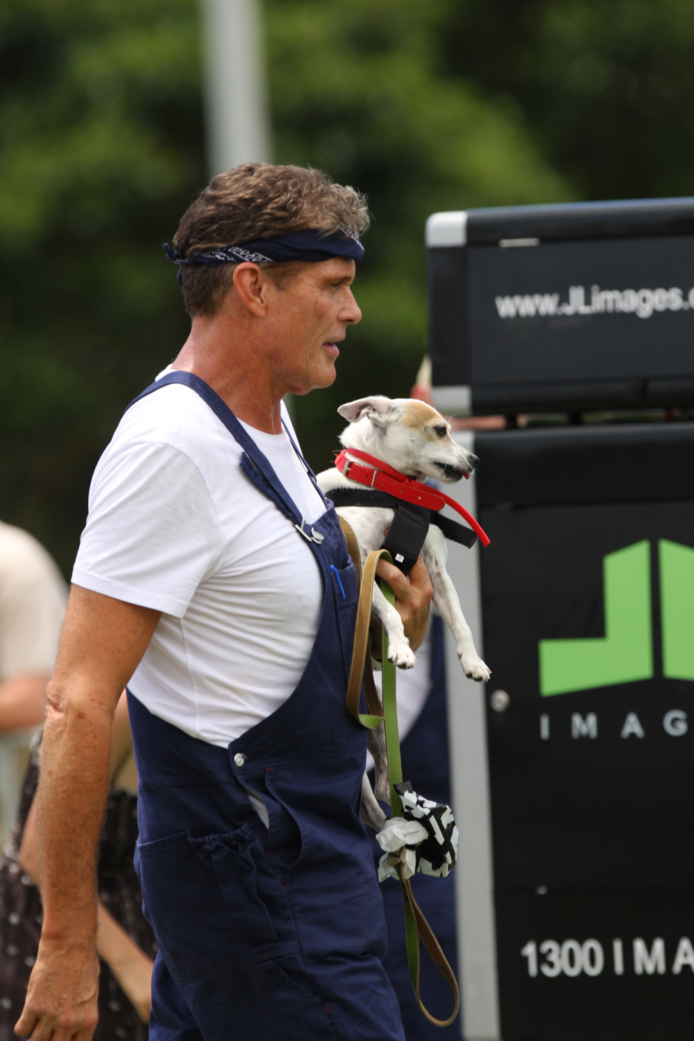 Music News Australia: David Hasselhoff Joins The Celebrity Apprentice ...