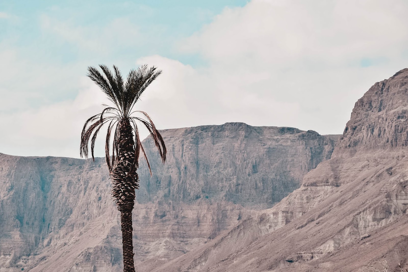 The most memorable sunrise of my life & floating in the Dead Sea!