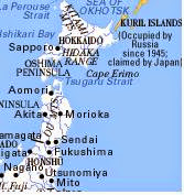 Elder Wheelwright: Angler Fish