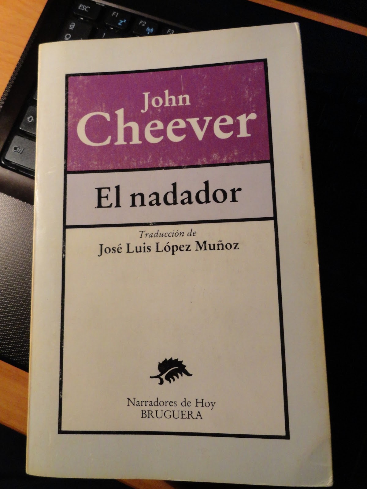 Los pasadizos del Loser: Ned Merrill