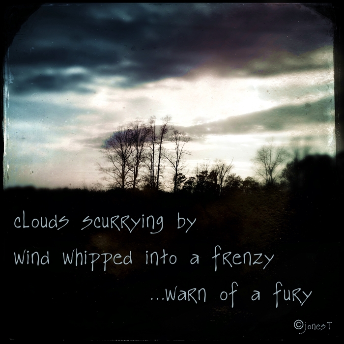 just my thoughts: cloud haiku