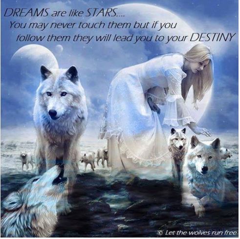 Jeannette's take on life: LET WOLVES RUN FREE