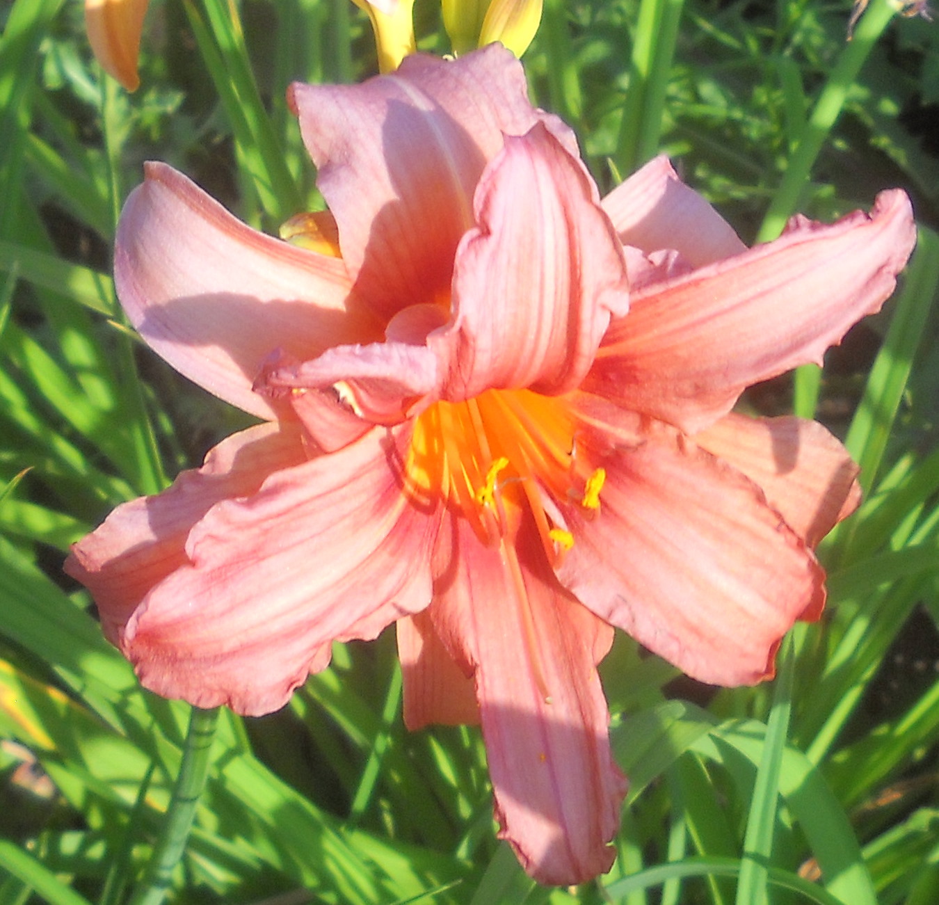 Lake Emily Garden formerly known as Earthworks, St. Peter, Minnesota ...