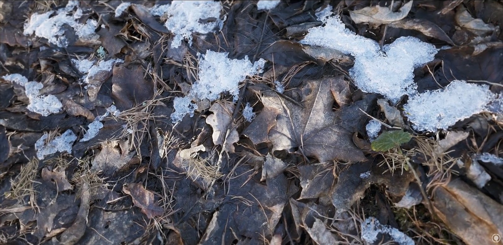 4K Resolution in Unreal Engine | Computer Graphics Daily News