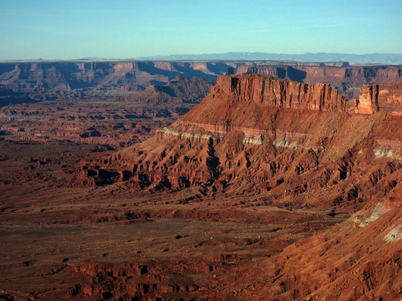 PLANET KAUFFMAN: Desert Turkey-Fest