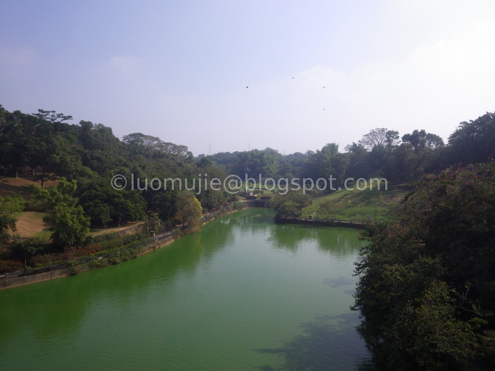Meteor Garden (流星花園) real-life university - National Chung Cheng ...