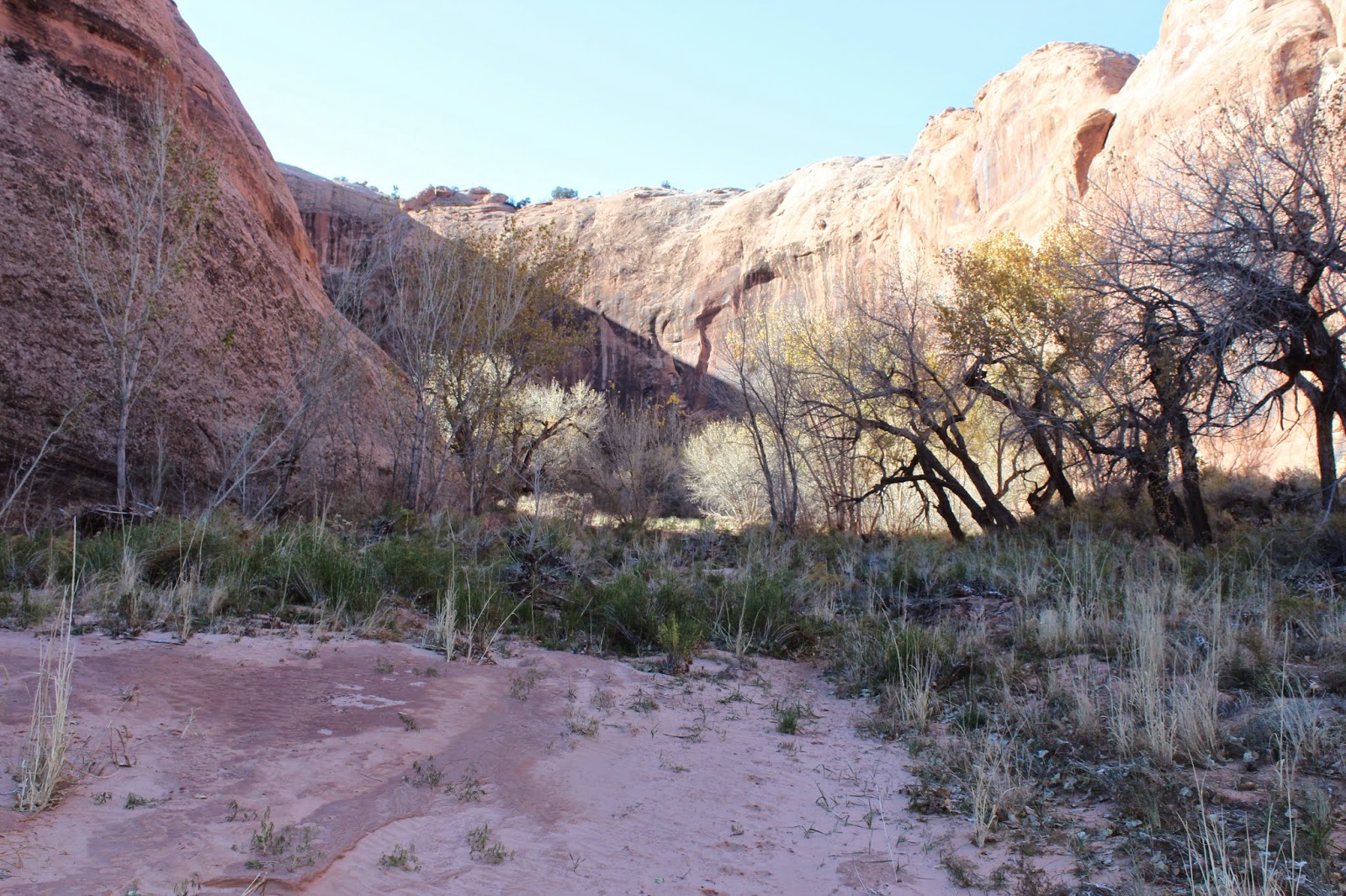 gjhikes.com: Lower Courthouse Wash