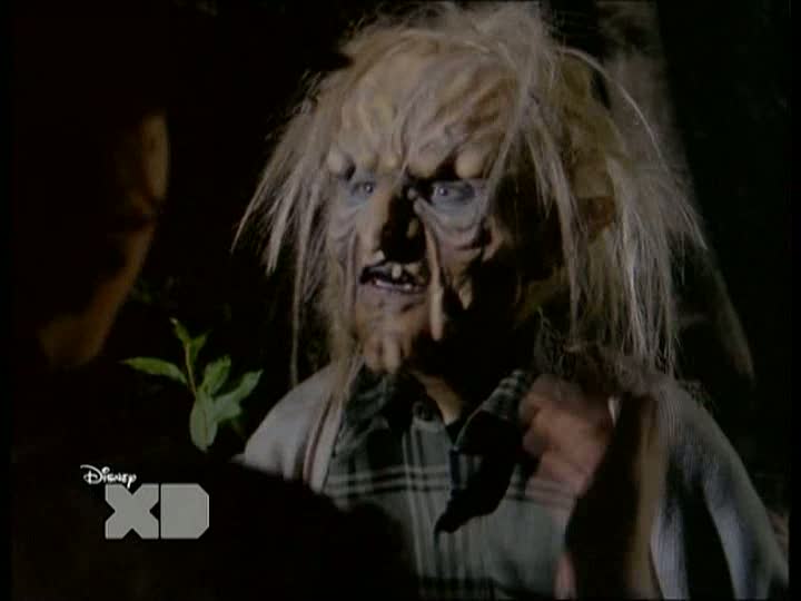 Retro Oasis: Gooseblog: Goosebumps TV: Season Two